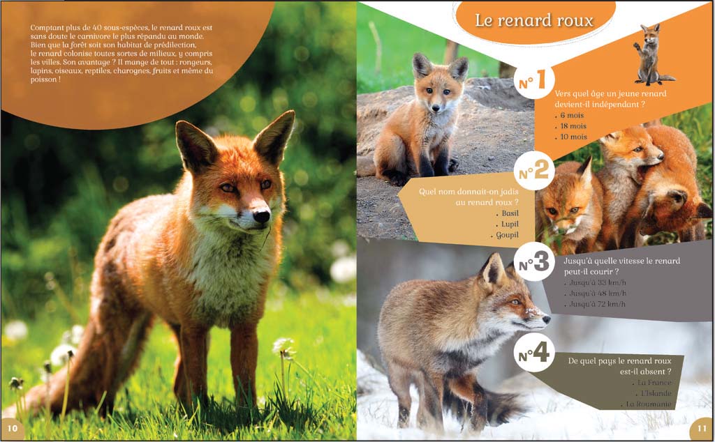 Plus de 160 questions/réponses : les animaux - cartonné - Collectif ...