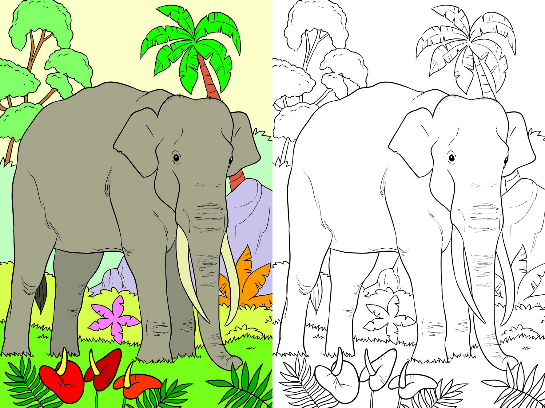 Les animaux de la jungle - Coloriage - broché - Elodie Berthon, Laura ...