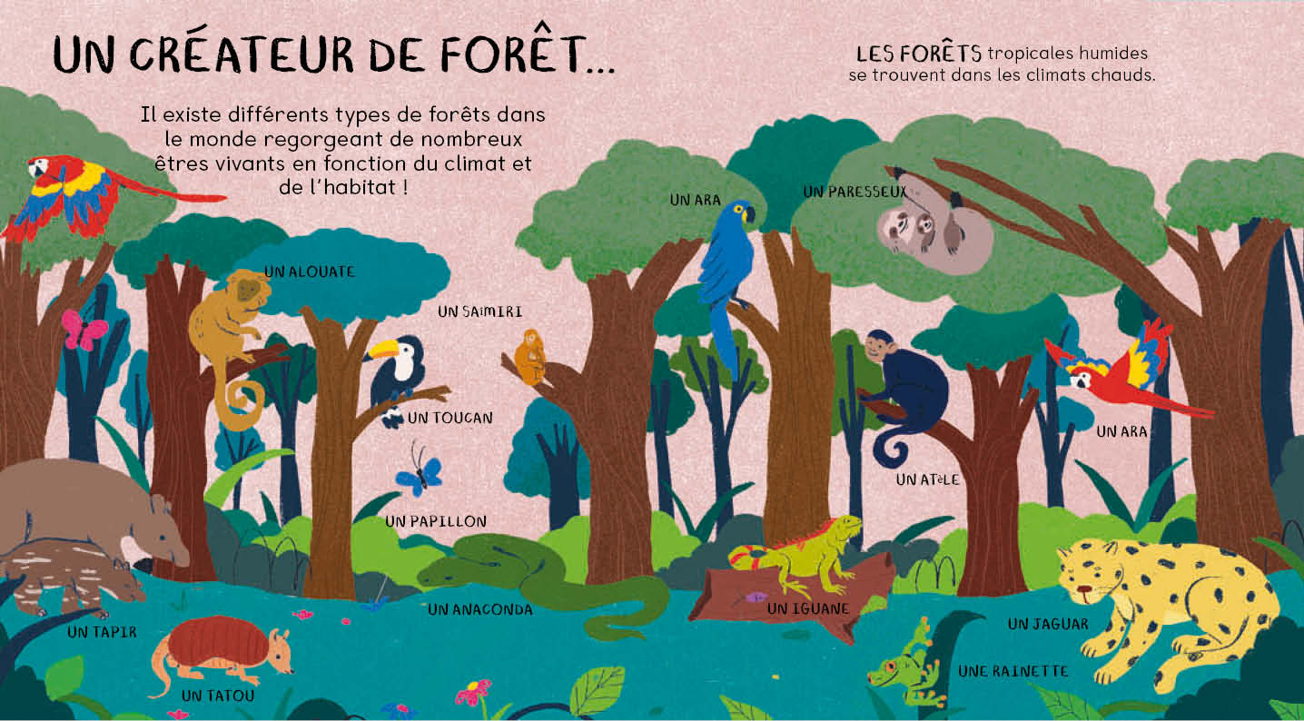 Les trésors cachés des arbres - cartonné - Arthur Beauregard, Nathalia ...